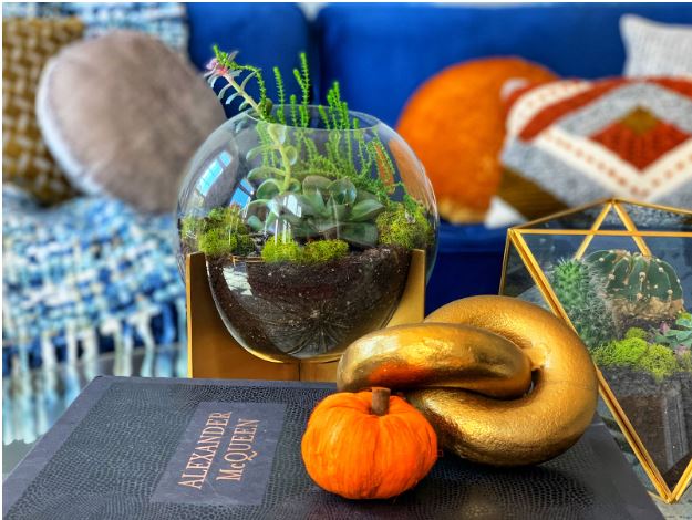 Revitalizing Your Space for Fall: Expert Tips from Alva House Of Style ...